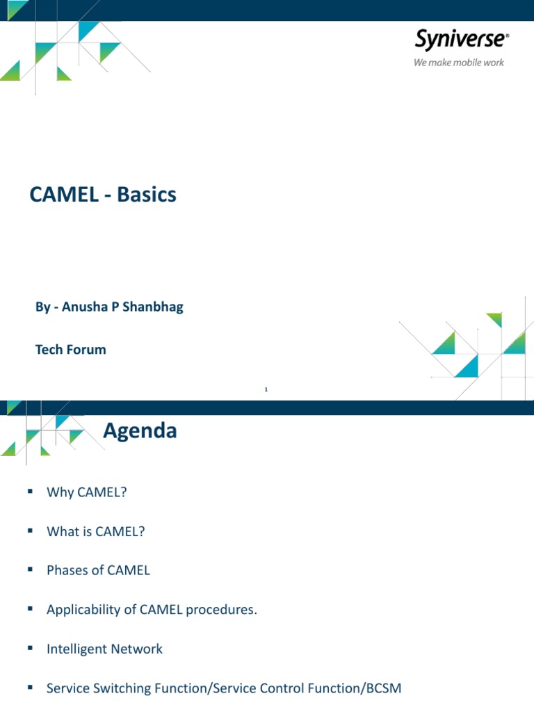 CAMEL - Basics: by - Anusha P Shanbhag Tech Forum | PDF | General ...