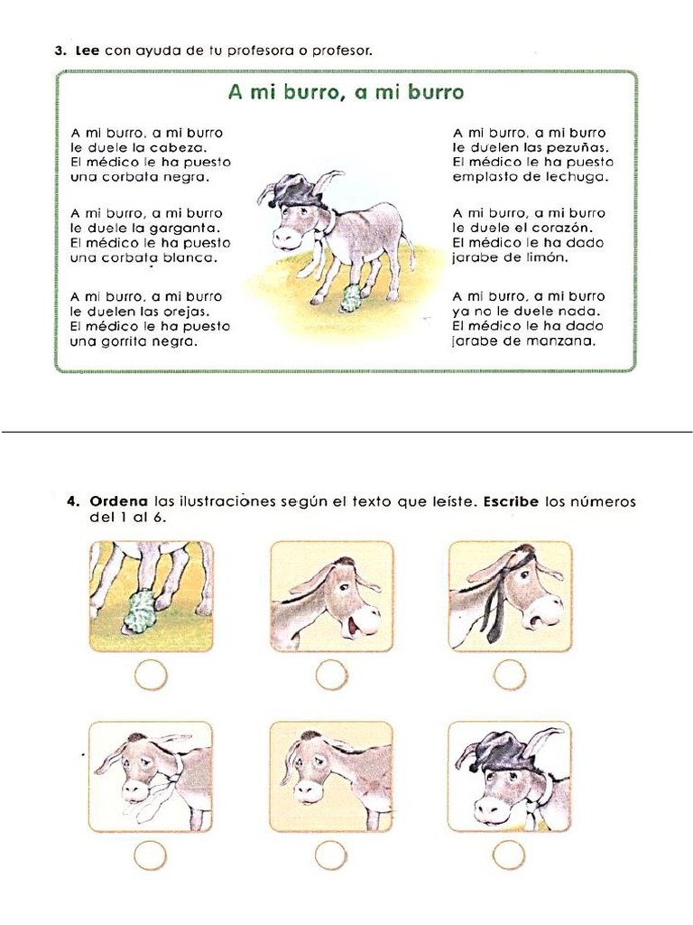 Ficha - Texto A Mi Burro | PDF