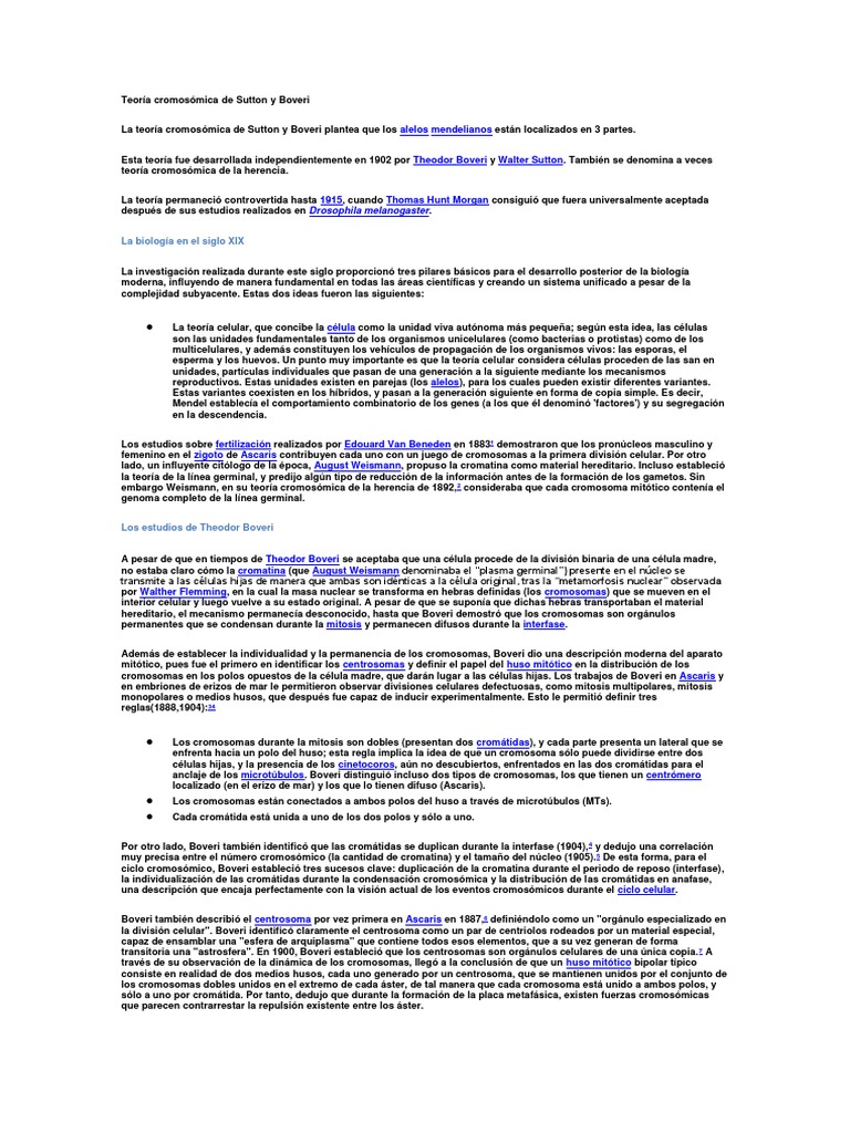 Teoría Cromosómica de Sutton y Boveri | PDF | Mitosis | Trastorno genético