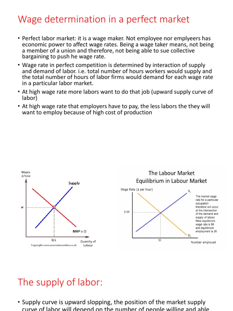 Wage Determination in A Perfect Market | PDF | Labour Economics | Demand
