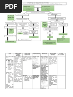 Pathophysiology of HCVD | PDF | Hypertension | Coronary Artery Disease