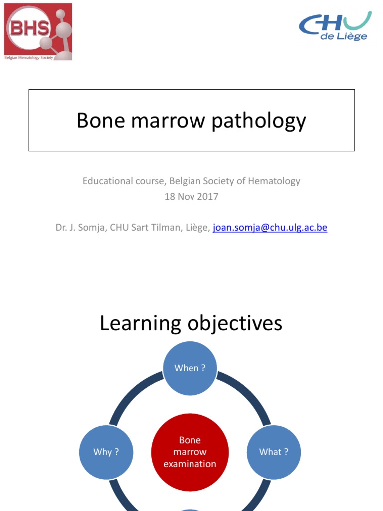 Bone Marrow Pathology 2 PDF | PDF | Leukemia | Tissue (Biology)