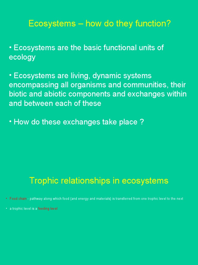 Ecosystems - How Do They Function? | PDF | Food Web | Ecosystem