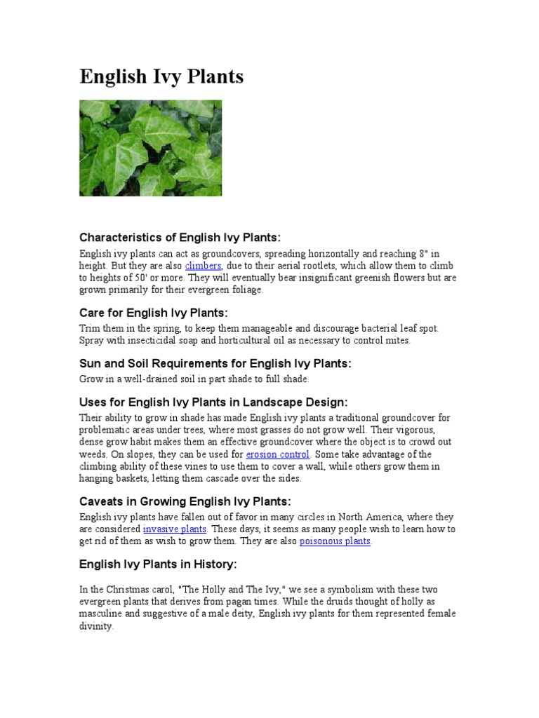 Indoor Plants | PDF | Horticulture And Gardening | Agriculture