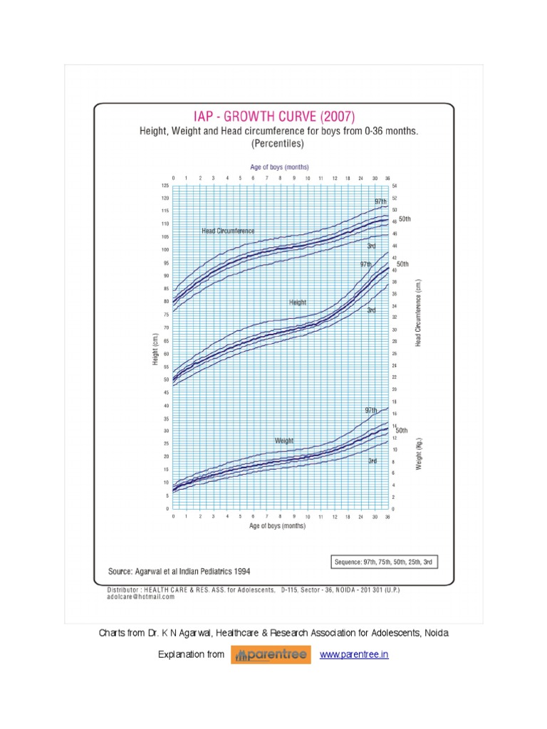 Indian Baby Boys Growth Charts 0 To 3 Years | PDF | Percentile ...