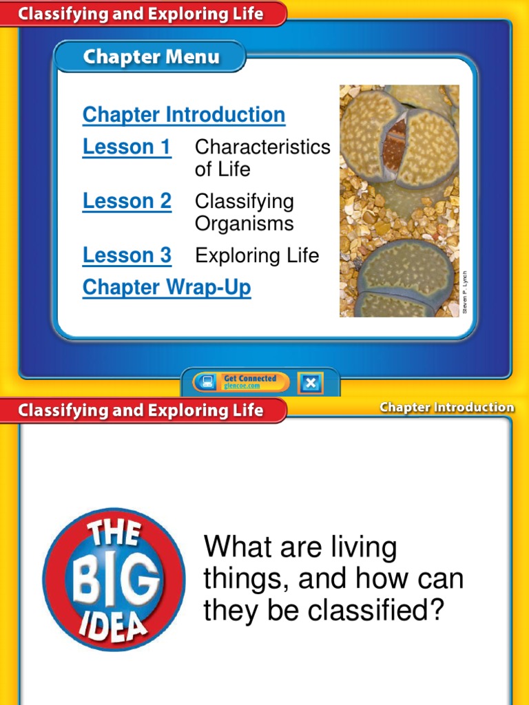 Chapter Introduction Lesson 1 Lesson 2 Lesson 3 Chapter Wrap-Up | PDF ...