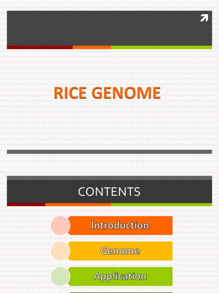Rice | PDF | Rice | Bioinformatics