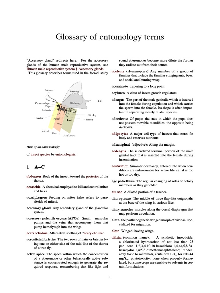 Glossary of Entomology Terms PDF | PDF | Anatomical Terms Of Location ...