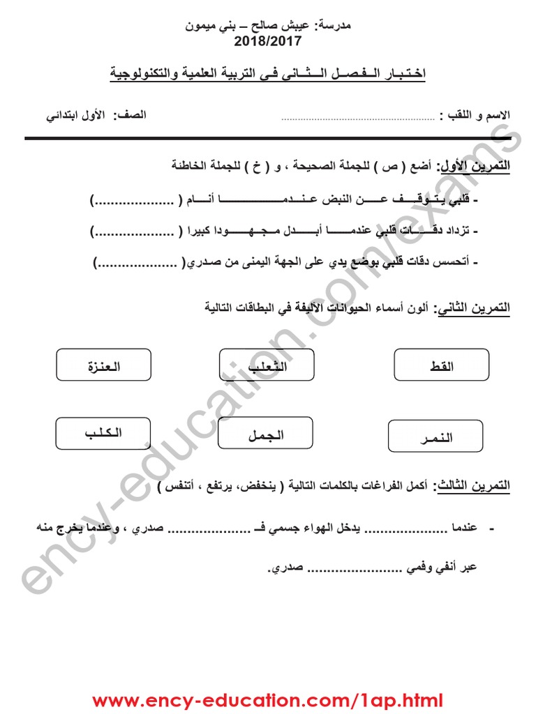 Math 1ap 2trim1 | PDF