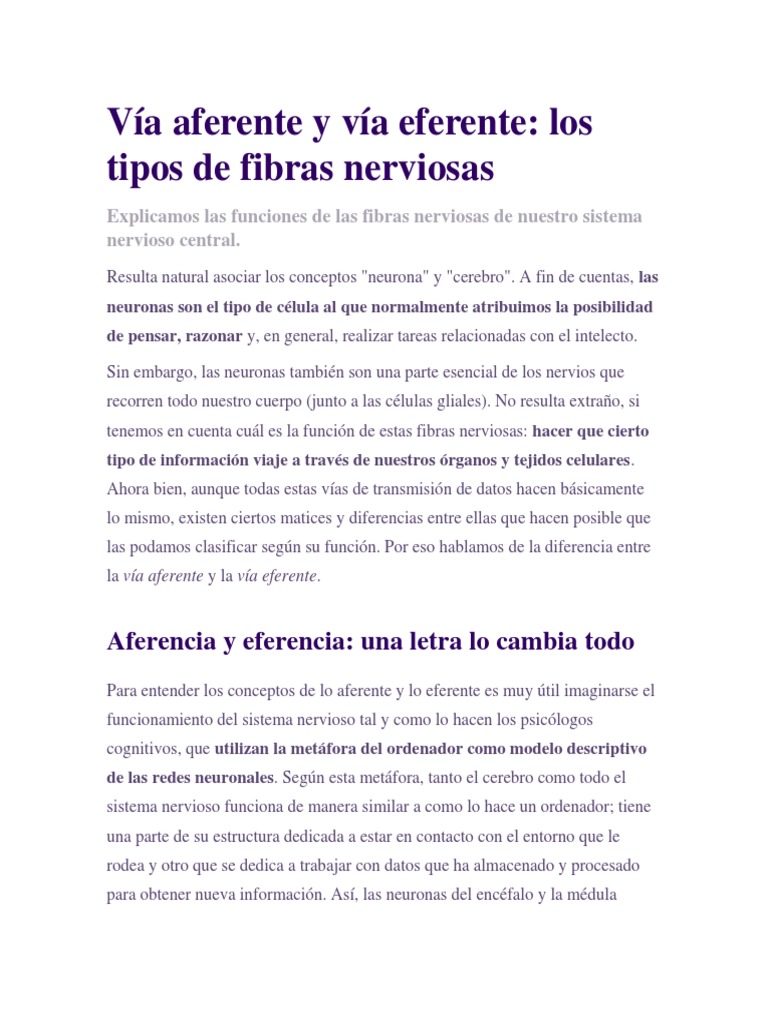 Fibras Nerviosas: Aferentes y Eferentes | PDF | Neurona | Sistema nervioso