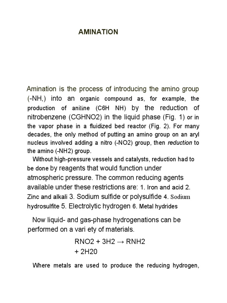 Amination: Amination Is The Process of Introducing The Amino Group ...
