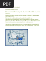 Noise Questionnaire | PDF | Audiology | Hearing