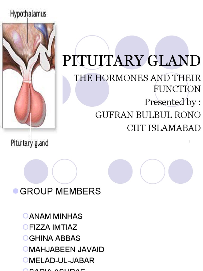 Pituitary Gland: The Hormones and Their Function Presented By: Gufran Bulbul Rono Ciit Islamabad ...