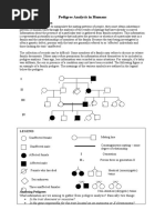 Estefania Fernandez - Lab Activity- Blood Type Pedigree Mystery | PDF ...