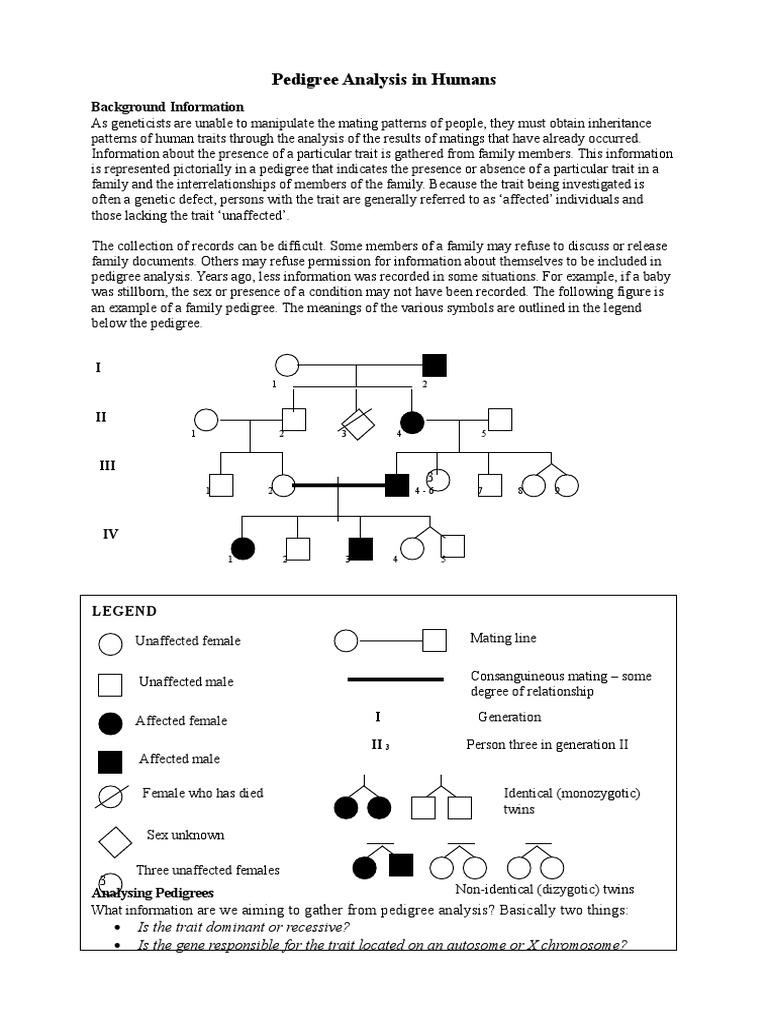 Pedigree Analysis in Humans: Background Information | PDF | Dominance ...