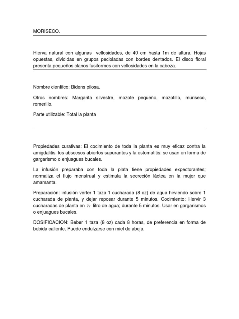 Propiedades del Moriseco y Otras Plantas Medicinales | PDF | Patata ...