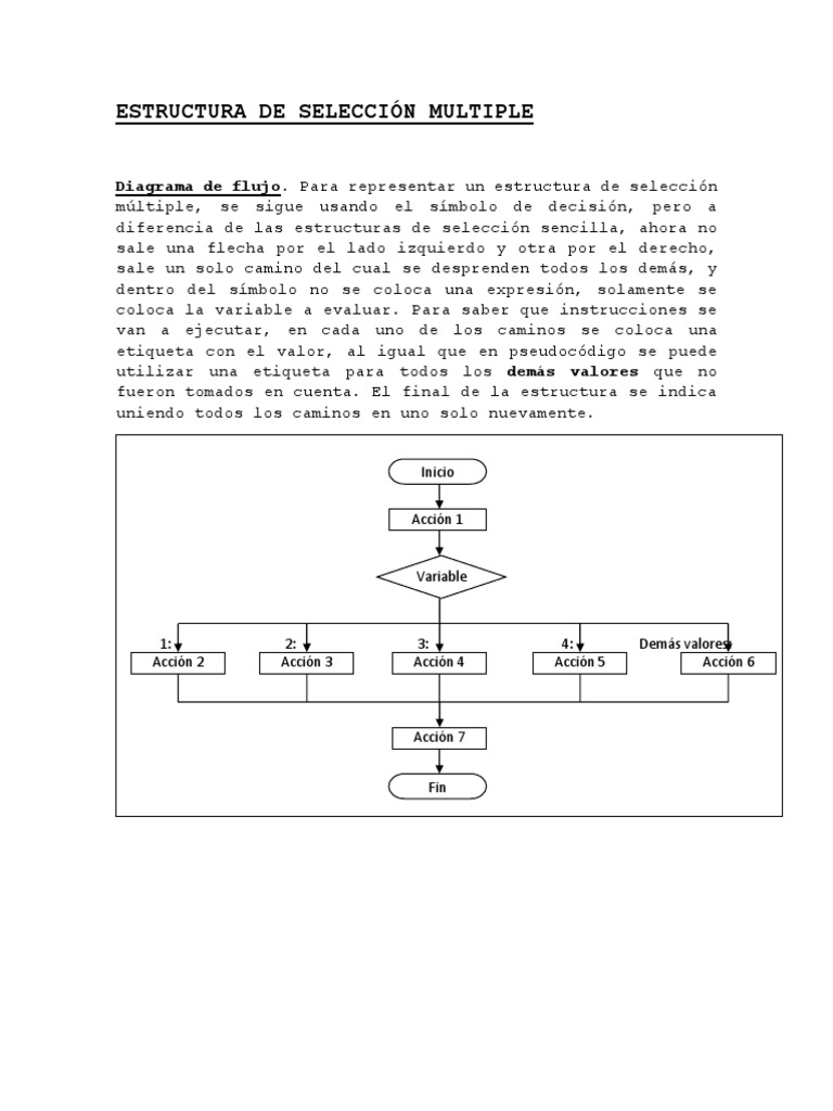 Diagrama de Flujo para Switch Case | PDF | Enseñanza de matemática ...
