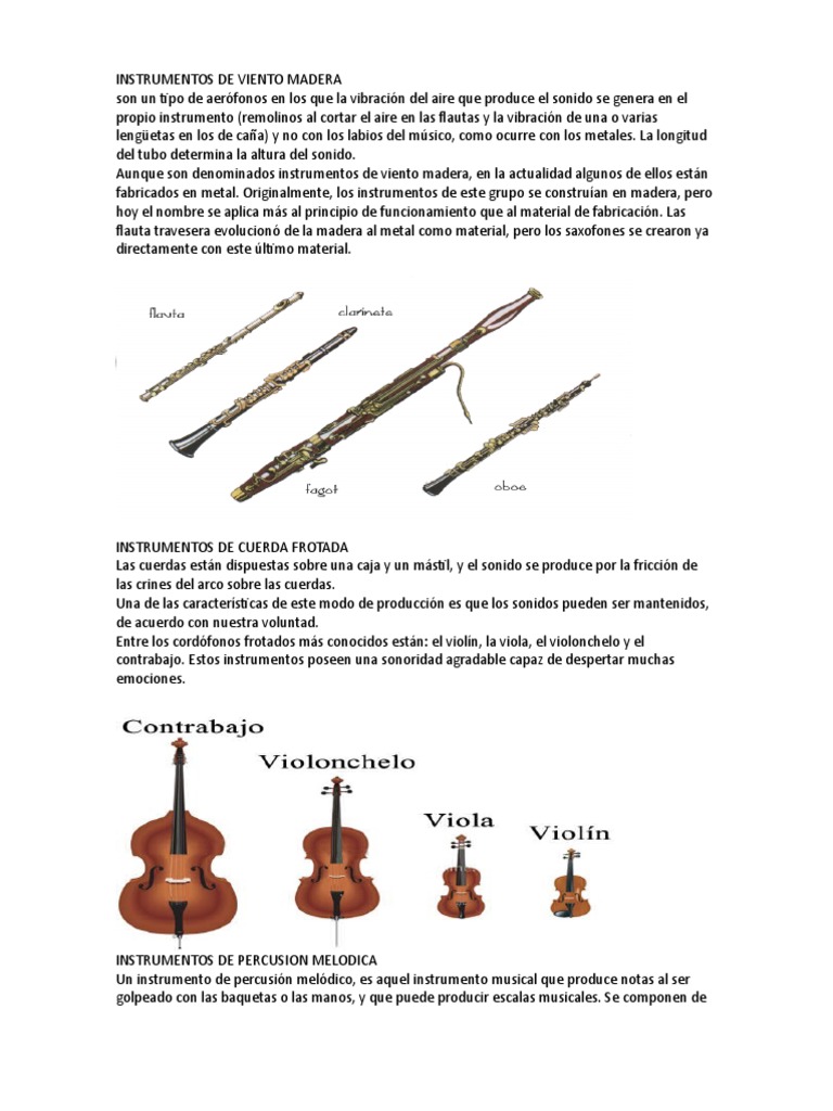 Estos Son Los Tipos De Instrumentos Musicales The 10 Best Musical