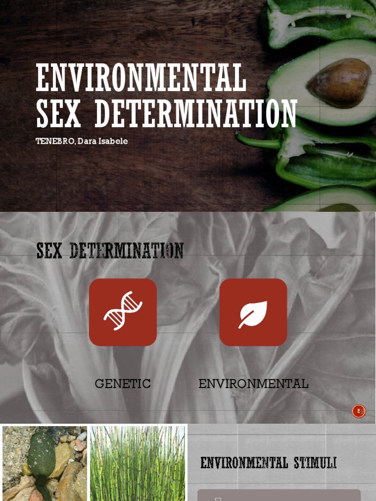 Environmental Sex Determination Pdf