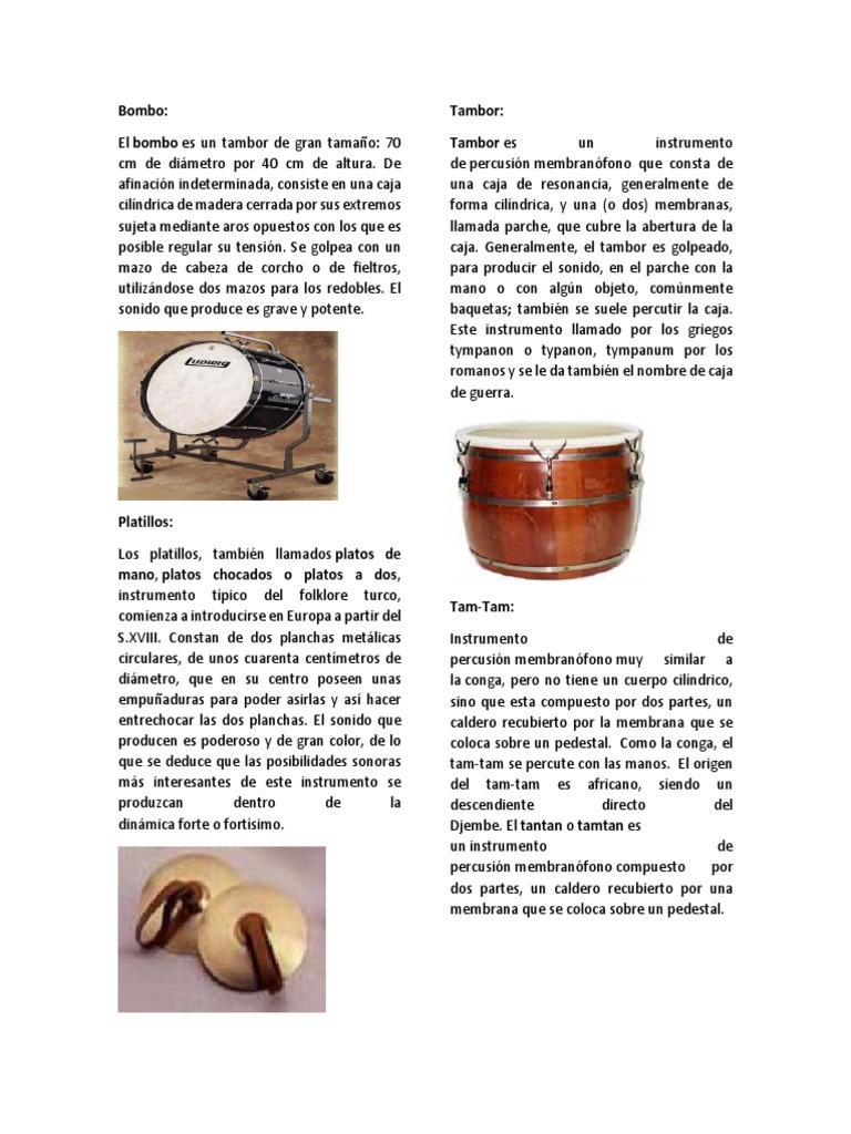 Significado y tipos de tarola | PDF | Centroamérica | Américas