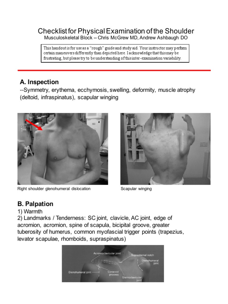 Shoulder Orthopedic Examination | PDF | Shoulder | Anatomical Terms Of ...