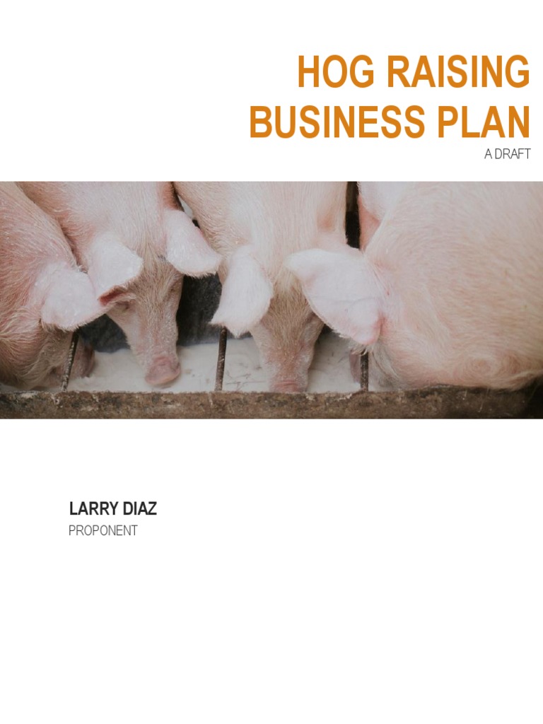 Hog Raising Business Plan: Larry Diaz | PDF | Income | Farms