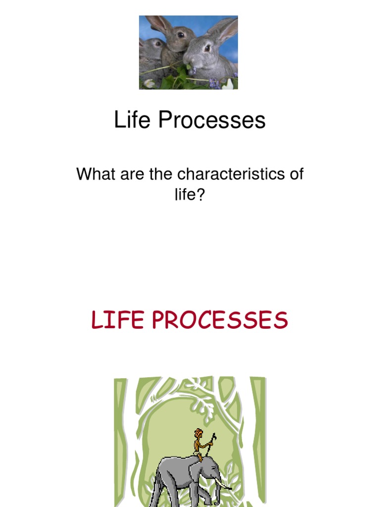 Life Processes | PDF | Cellular Respiration | Life