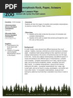 Animal Kingdom Flow Chart | PDF | Biology | Zoology