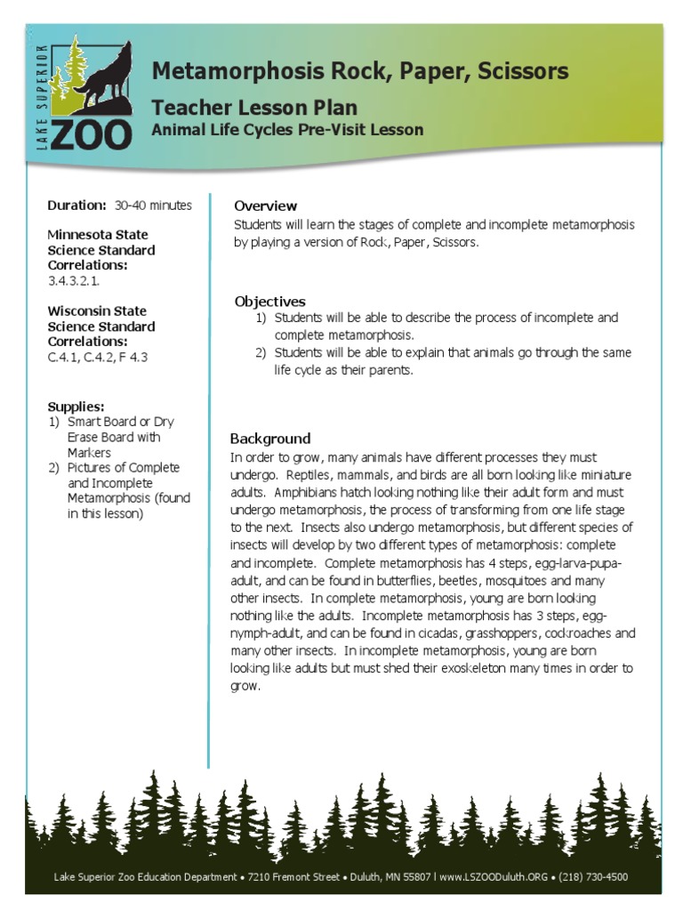 Understanding Metamorphosis in Animals | PDF | Pupa | Thermoregulation
