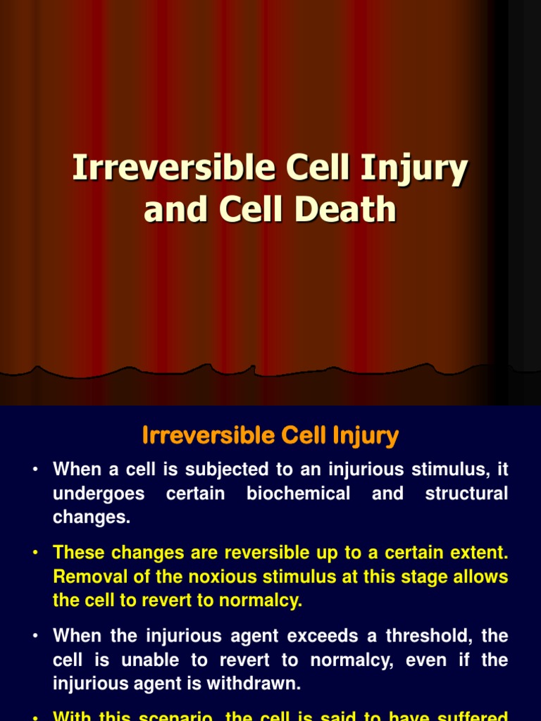 Irreversible Cell Injury and Cell Death | PDF | Necrosis | Apoptosis