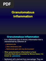 Pathology, Chapter 3, Inflammation (Slides) | PDF | Inflammation | Cell ...