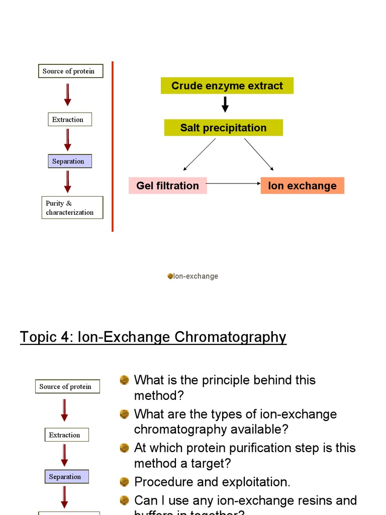 Ion-Exchange Chromatography Guide | PDF | Ion Exchange | Chromatography