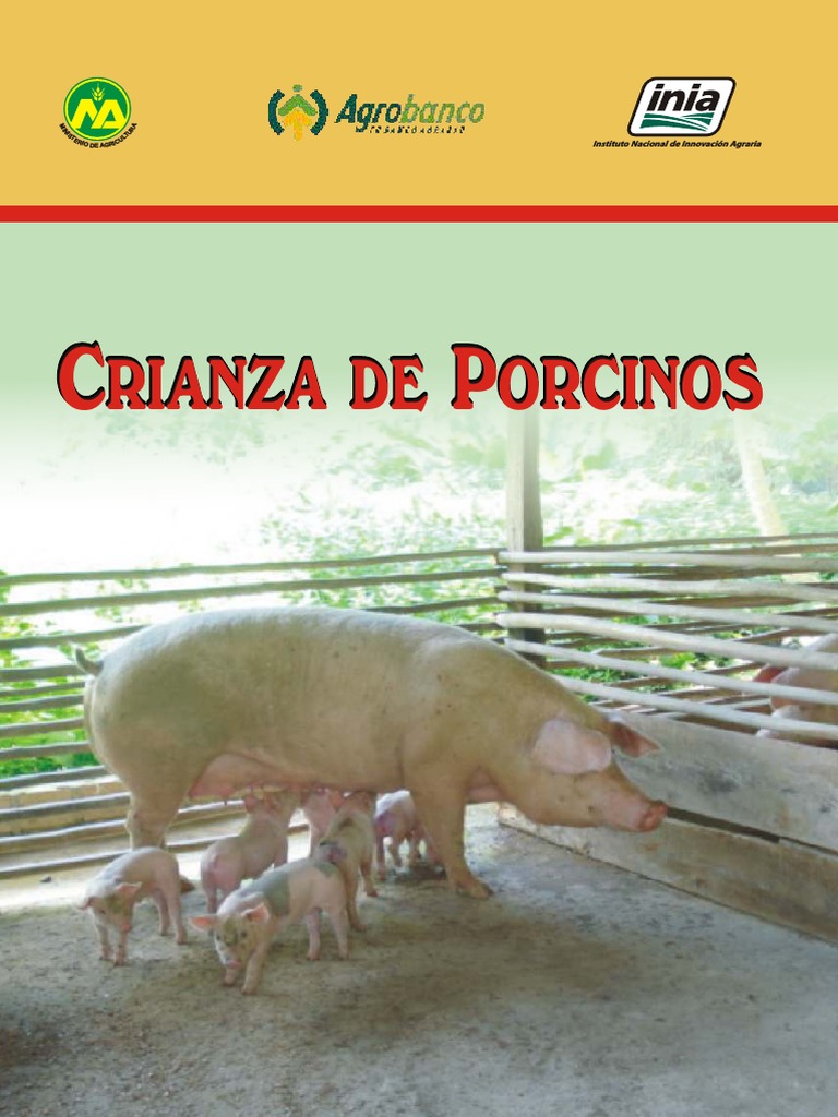 Guía sobre la crianza de cerdos en la Amazonía peruana | PDF | Cerdo ...