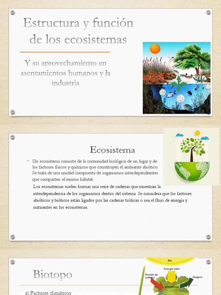 Estructura y Función de Los Ecosistemas | Descargar gratis PDF | Ecosistema | Suelo