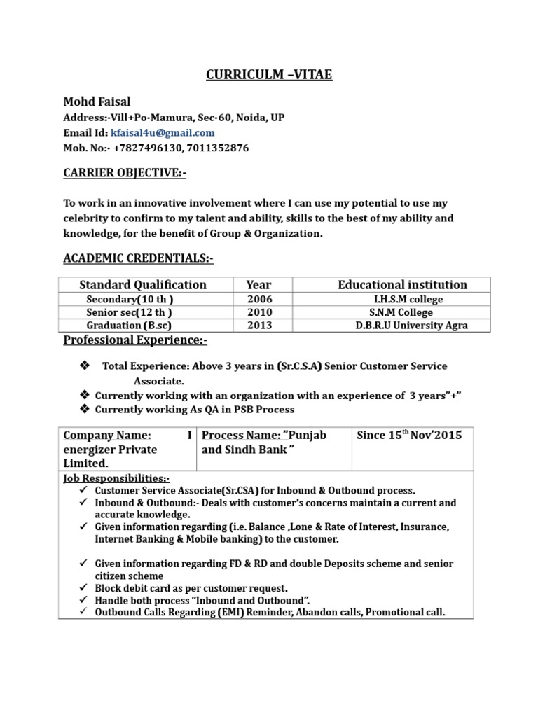 Faisal Resume | PDF | Computing | Business
