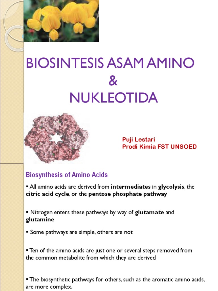 Biosintesis Asam Amino & Nukleotida: Puji Lestari Prodi Kimia FST ...