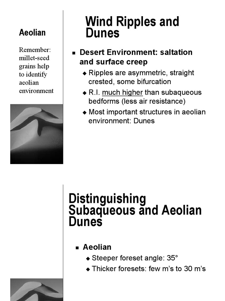 Wind Ripples and Dunes: Aeolian | PDF | Dune | Sediment