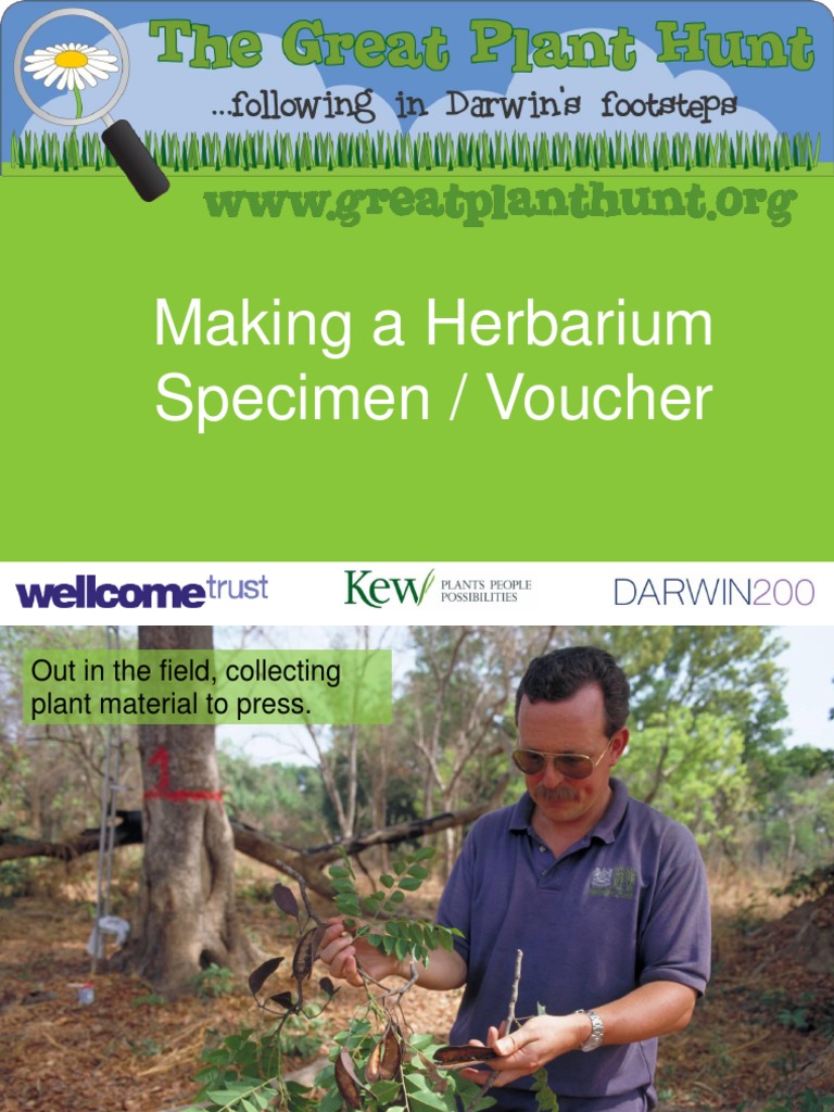 How to Make a Herbarium | PDF