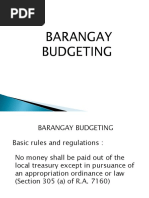 The Barangay Budget Process | PDF | Budget | Taxes