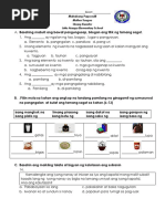 Sanhi at Bunga Worksheet | PDF