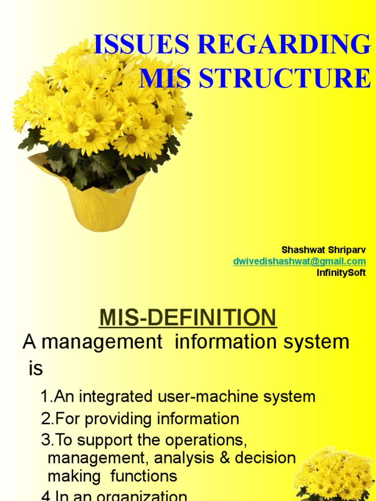 Issues Regarding Mis Structure: Shashwat Shriparv Infinitysoft | PDF ...