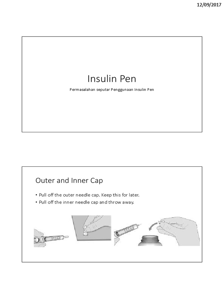1 Plus - Insulin Pen | PDF | Injection (Medicine) | Nature