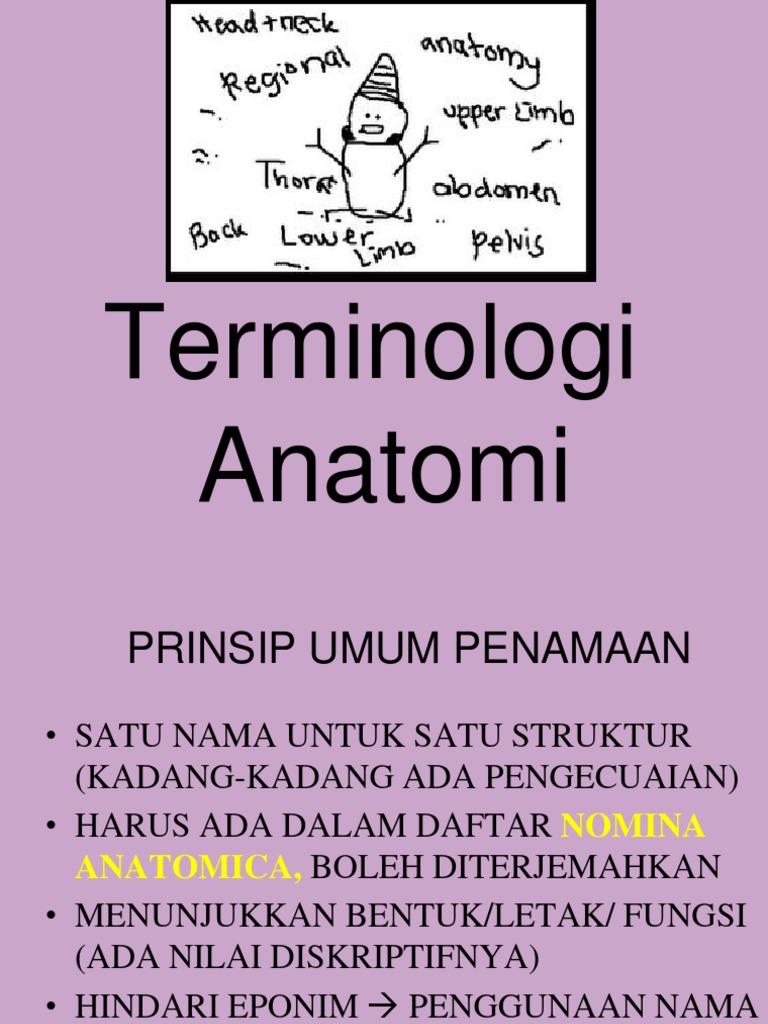 Anatomical Terminology and Movements Guide | PDF | Anatomical Terms Of ...