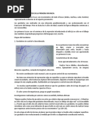 Unidad 1 1 Técnicas de Trozado 1 El Trozado 1 Actividad N 1 Trozado ...