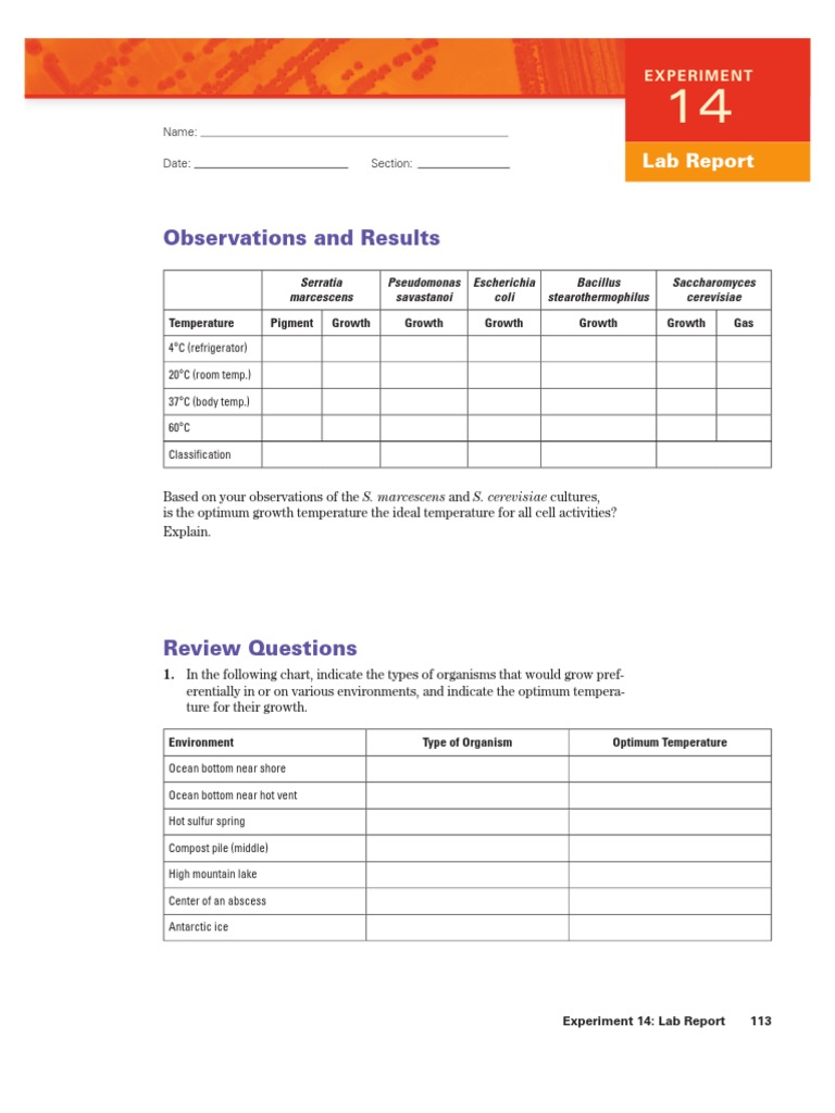 Observations and Results: Lab Report | PDF | Bacteria | Nature