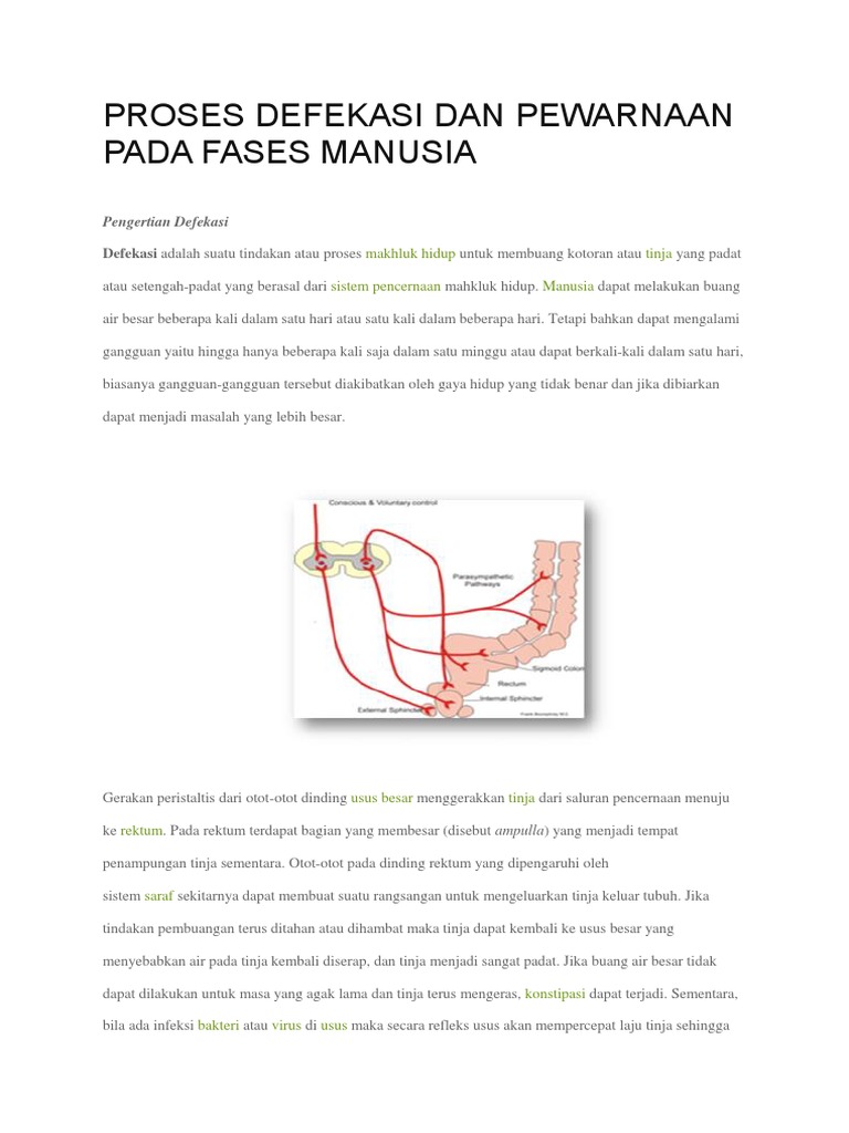 Mekanisme dan Proses Defekasi Manusia | PDF