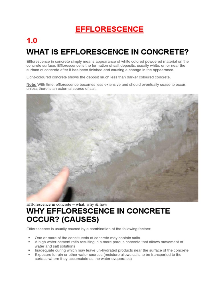 What Is Efflorescence in Concrete? | PDF | Sodium Bicarbonate | Concrete