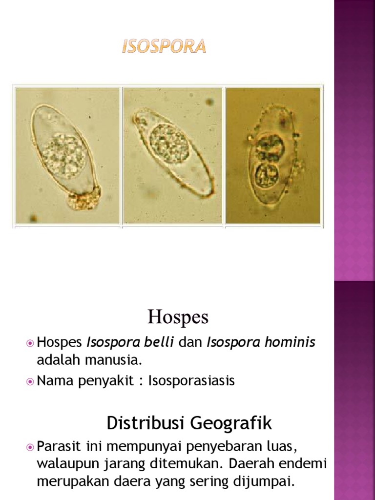 Isospora | PDF