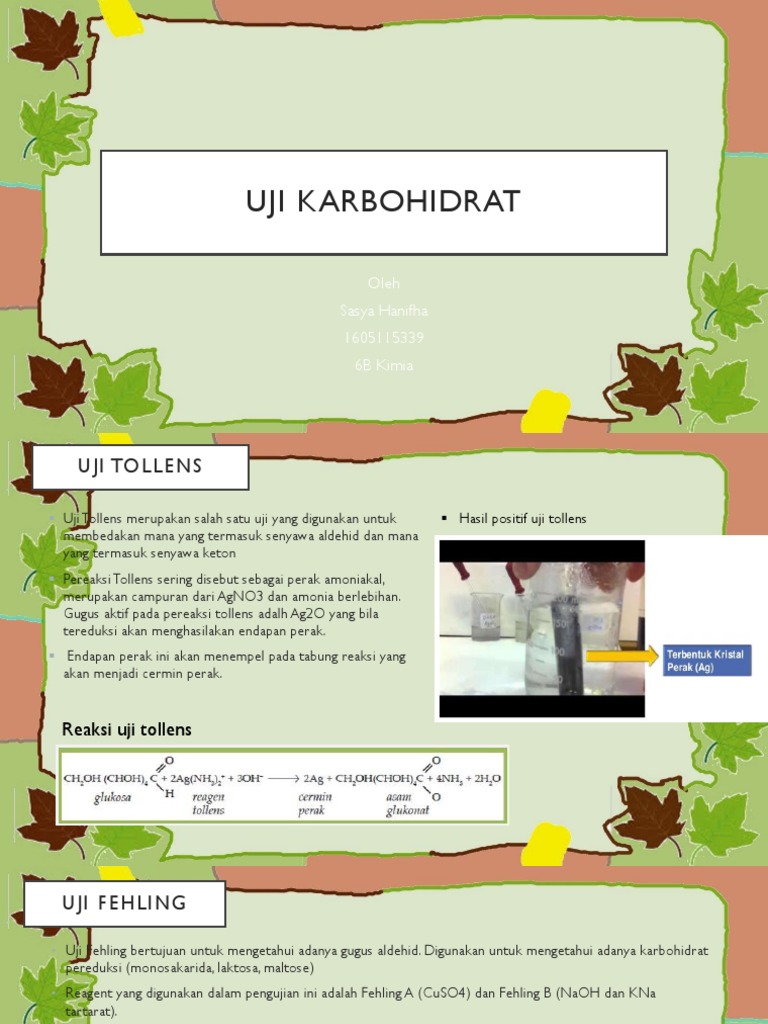 Uji Karbohidrat | PDF
