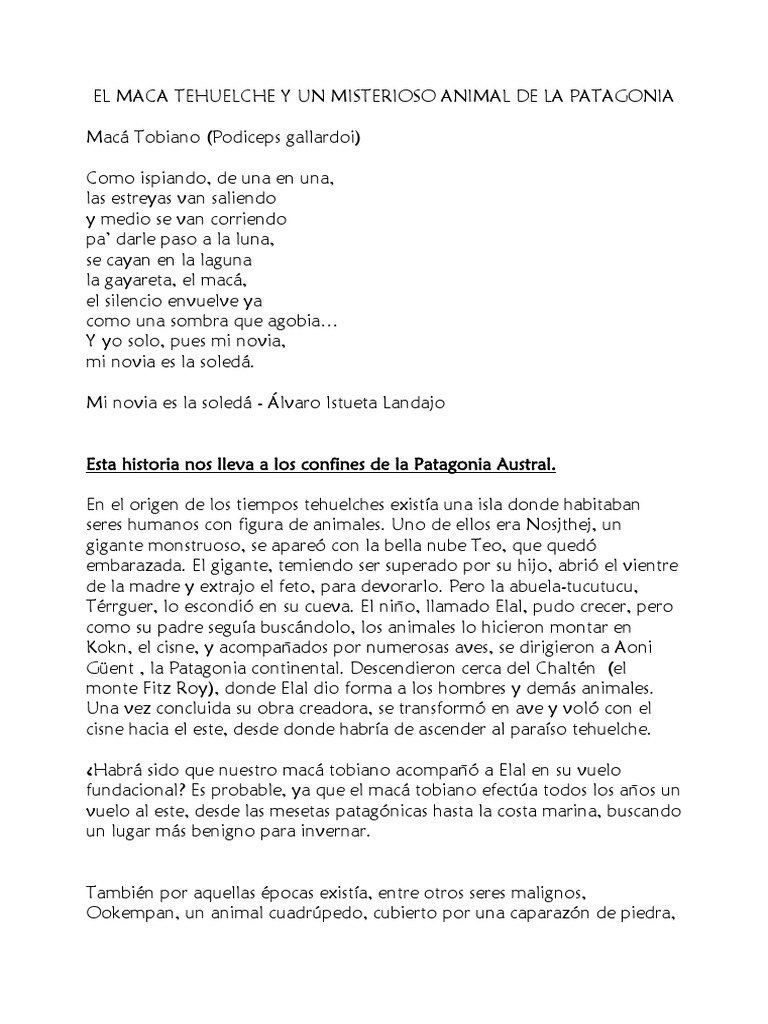 Explorando la conexión entre la leyenda del iemisch tehuelche y los ...